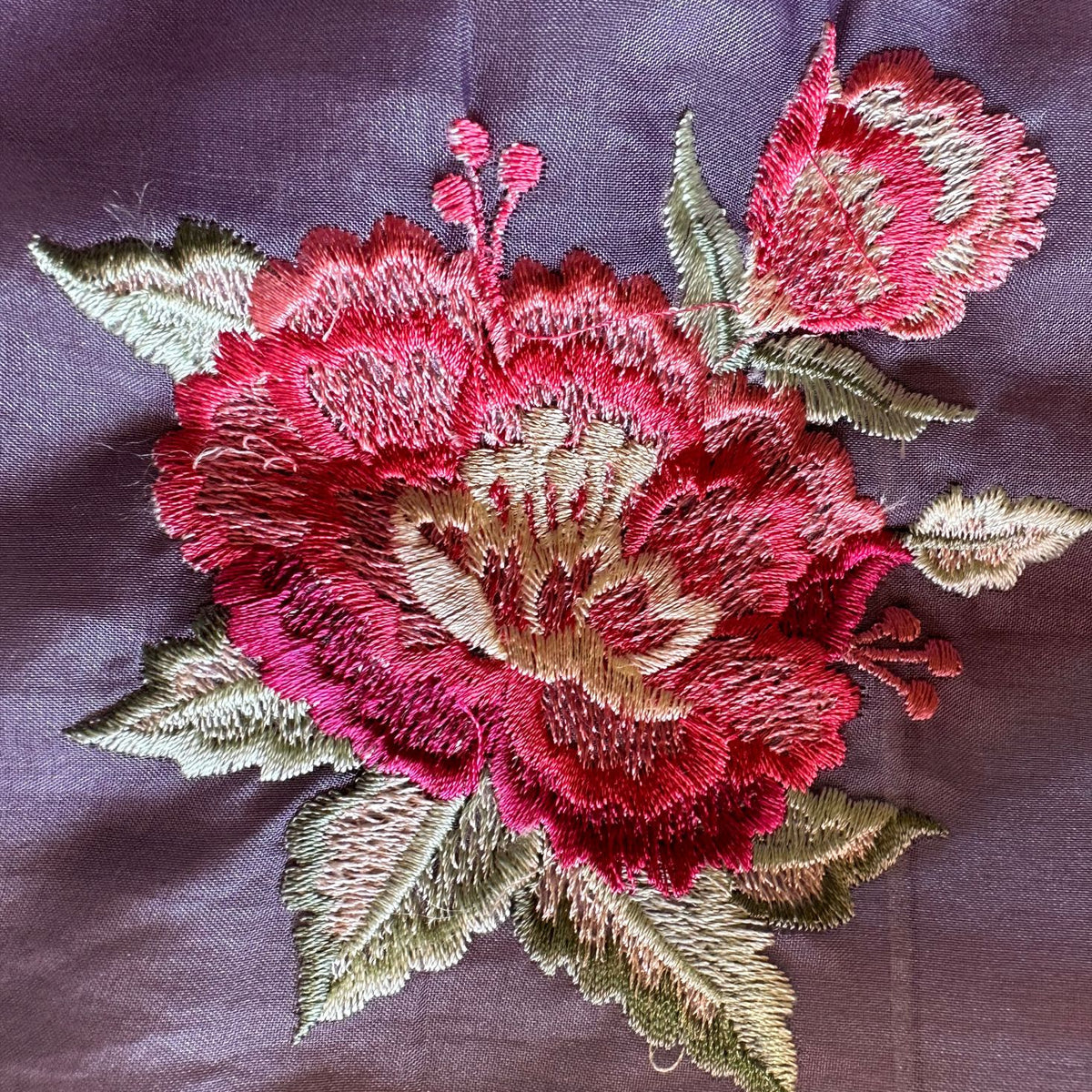 Pure and Soft original Kotta Doria with floral embroidered Jaal on the ...
