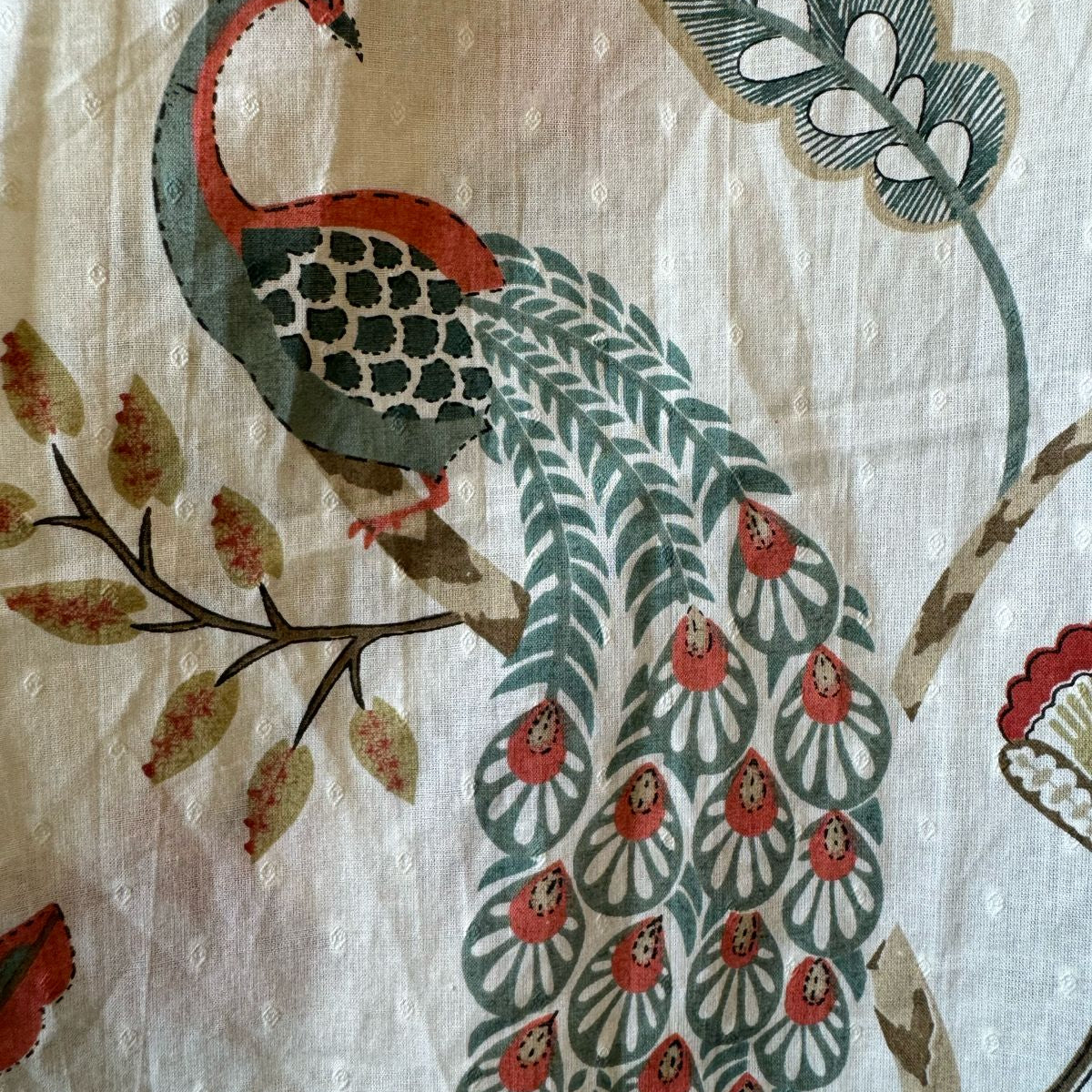 Shop our New cotton collections – Aisha Creations